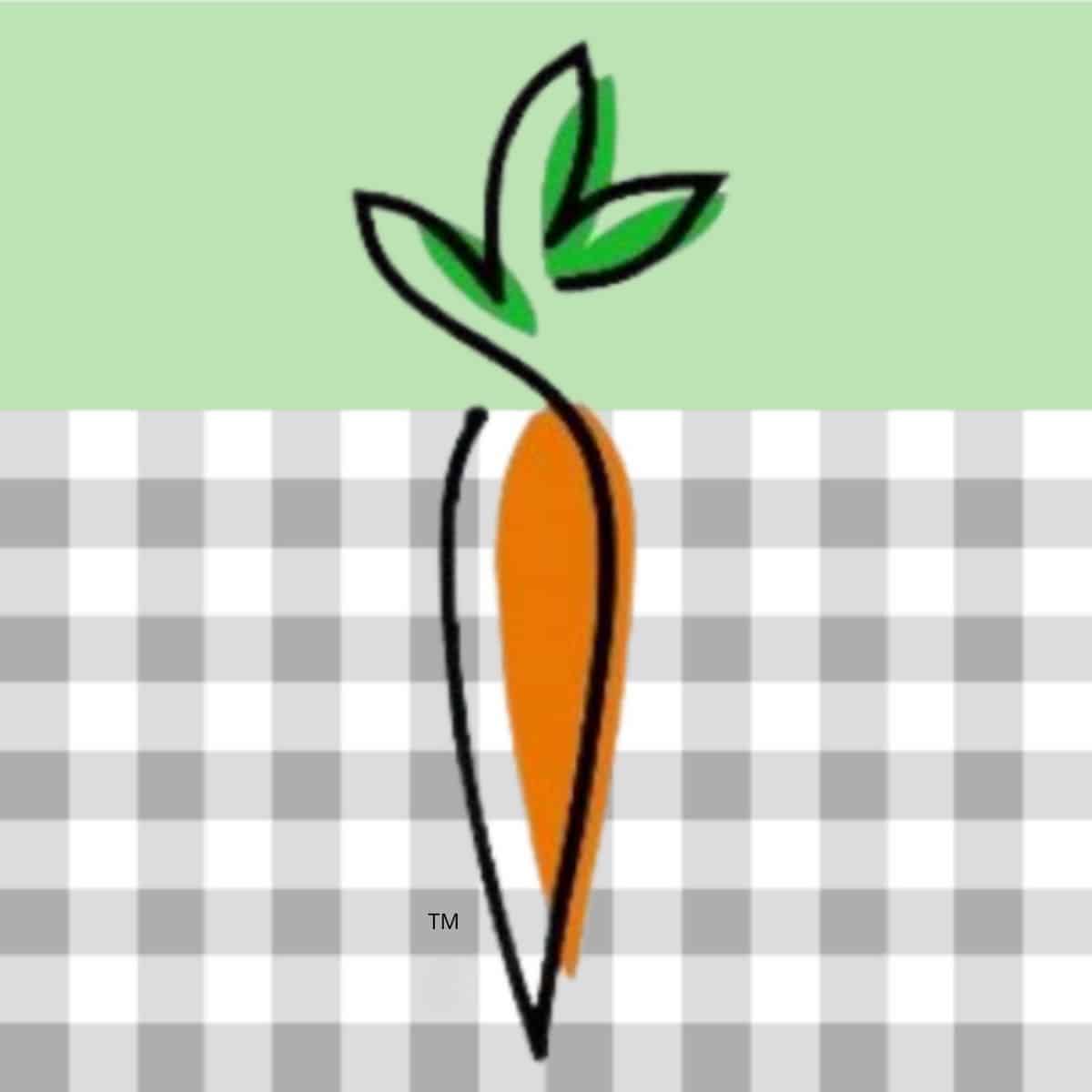 Delicious vegan recipes for everyone - The Carrot Underground🥕